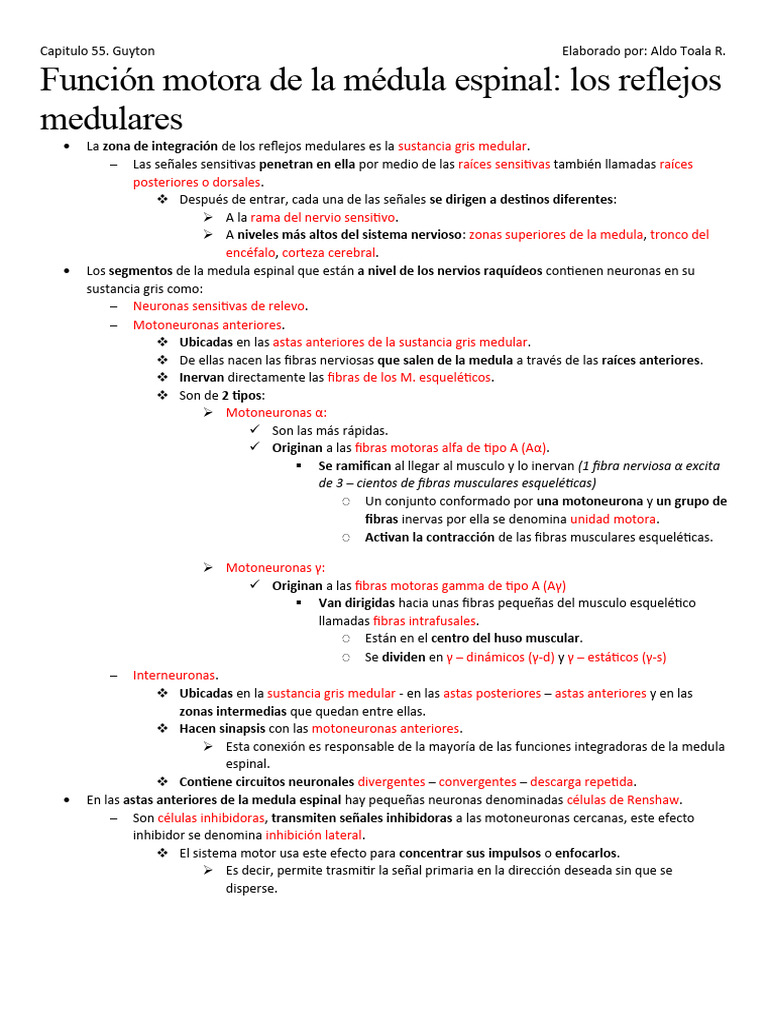 Cap 55. Función motora de la médula espinal, los reflejos medulares | PDF | Materia gris ...