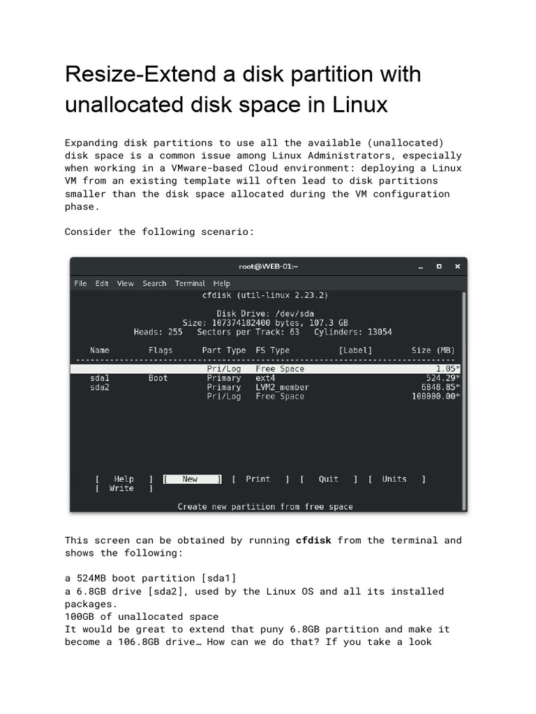 Resize Extend A Disk Partition With Unallocated Disk Space In Linux Pdf Utility Software 