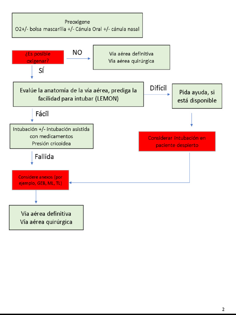 Manejo de La Vía Aerea y Ventilación | PDF