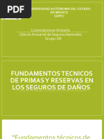 Método Chain Ladder para IBNR | PDF