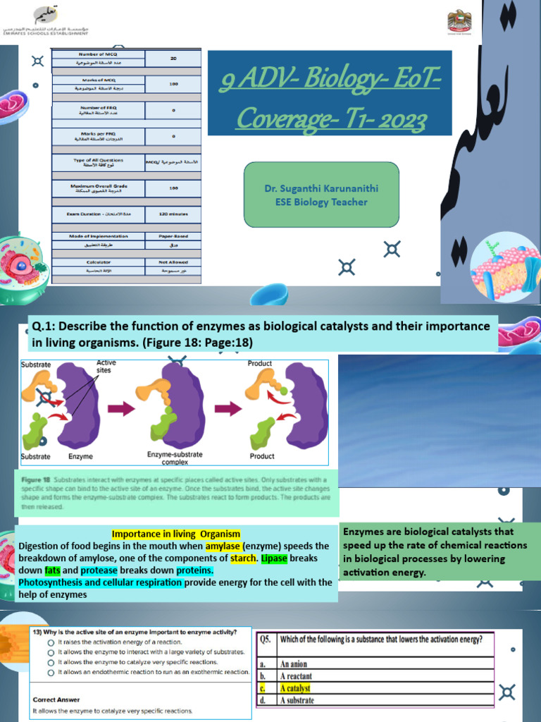 9 ADV - Inspire-Coverage Based Practice - Term1 - 2023 | PDF | Cell ...