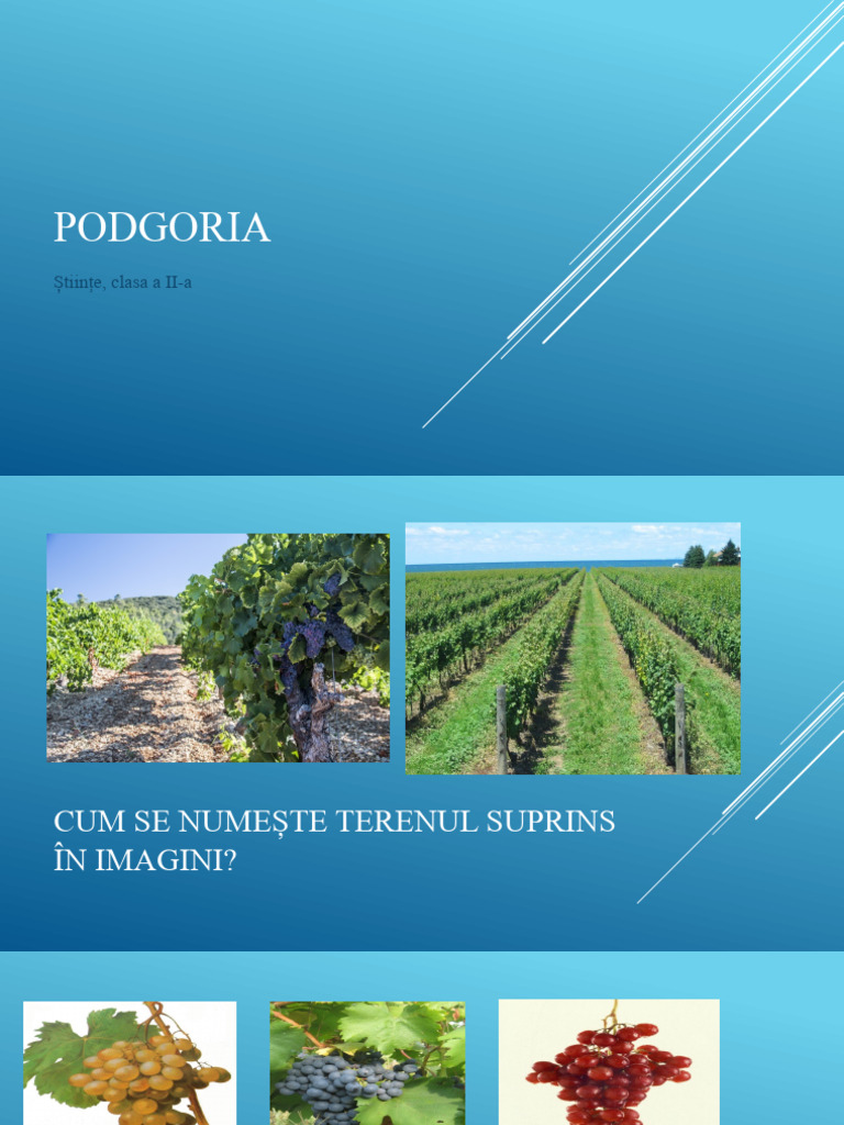 Podgorii | PDF