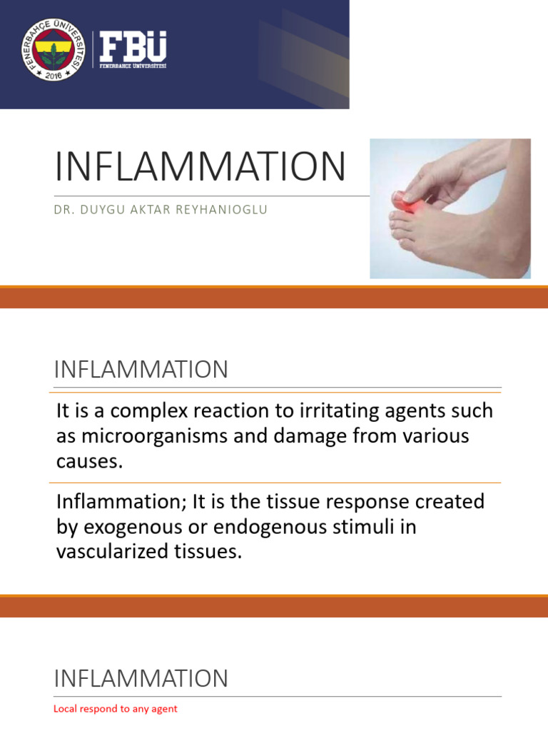1) Inflammation | Download Free PDF | Inflammation | Macrophage