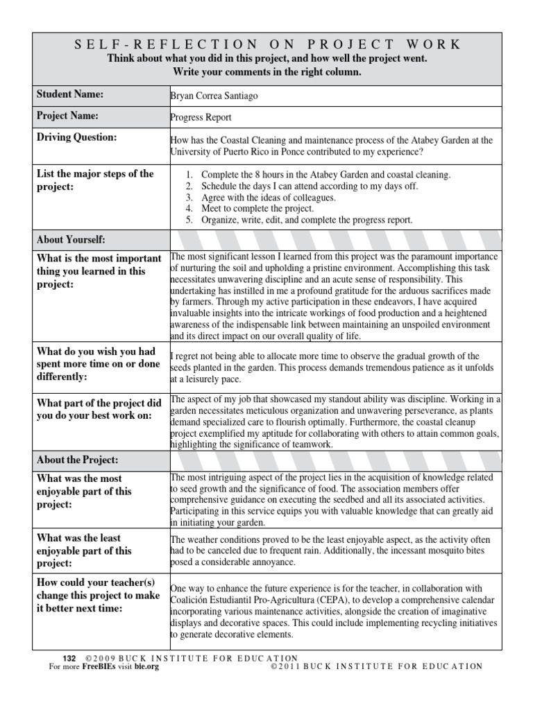 Self Reflection On Project | PDF | Behavioural Sciences | Cognitive Science