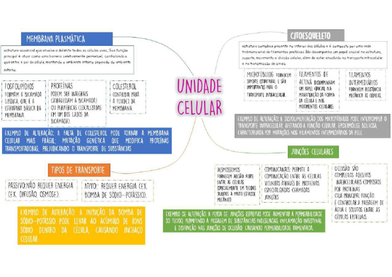 Unidade Celular Mapa Mental | PDF