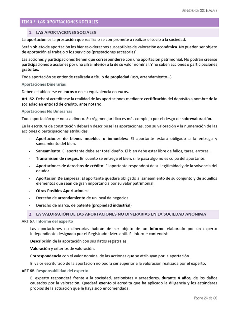 Tema 5 Resumen | PDF | Dividendo | Propiedad