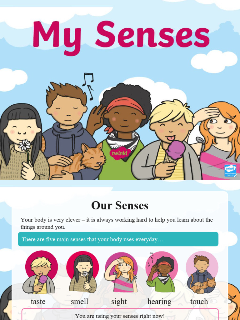 5 Sense Organs | PDF