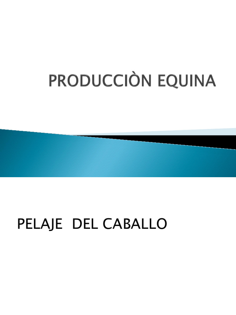 Producciòn Equina | Descargar gratis PDF | Caballos | Pura sangre