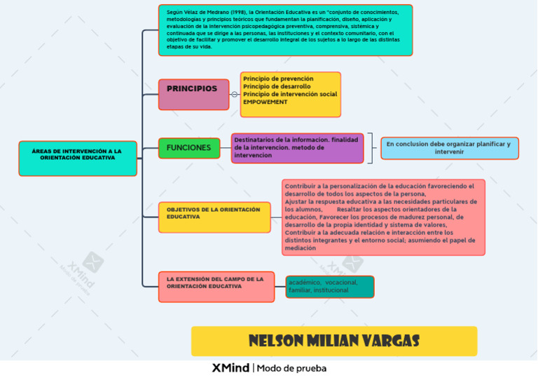 Áreas de Intervención A La Orientación Educativa | PDF