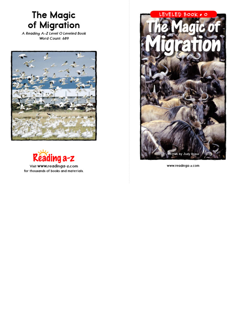 Raz Lo12 Magicmigration CLR Ds | PDF | Sea Turtle | Bird Migration