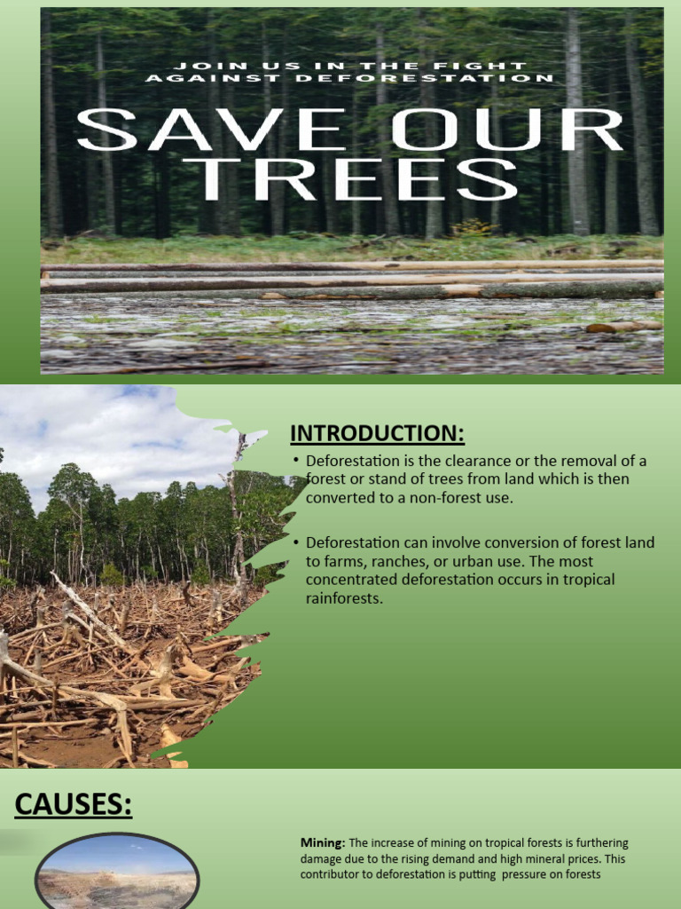 Eia Project | PDF | Deforestation | Forests