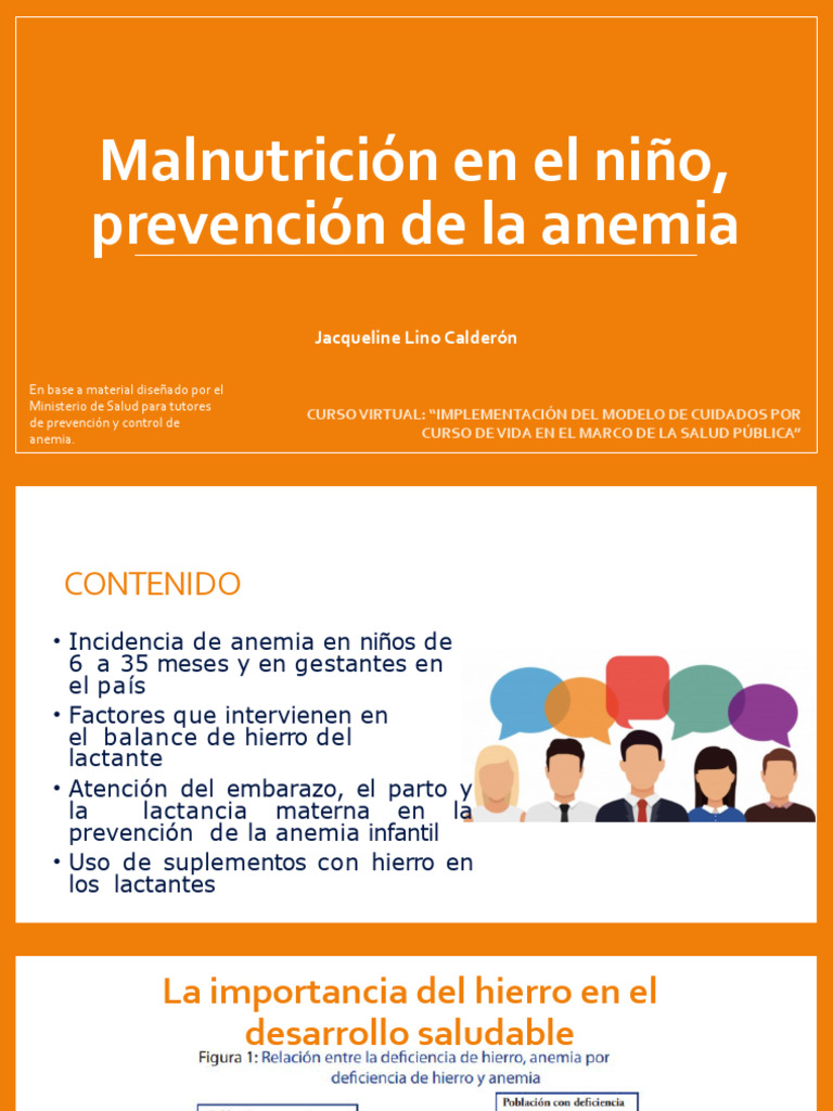 Malnutrición en El Niño - Prevención de La Anemia | PDF | Amamantamiento | Anemia