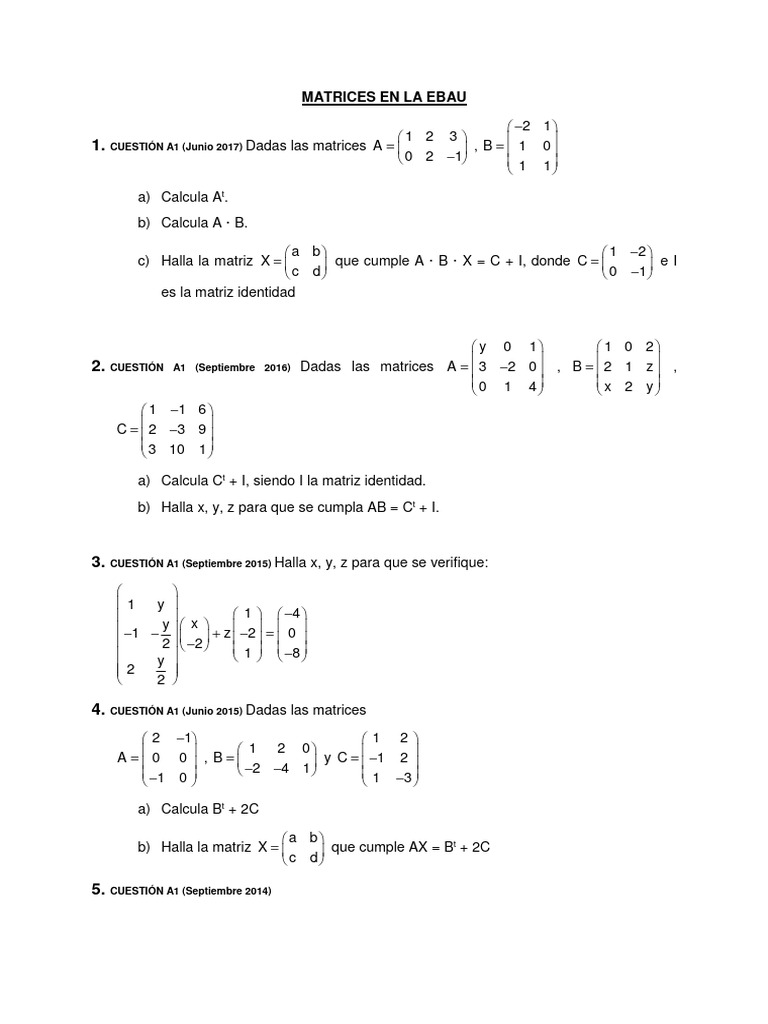 1 Matrices Ebau | PDF | Matriz (Matemáticas) | Análisis funcional