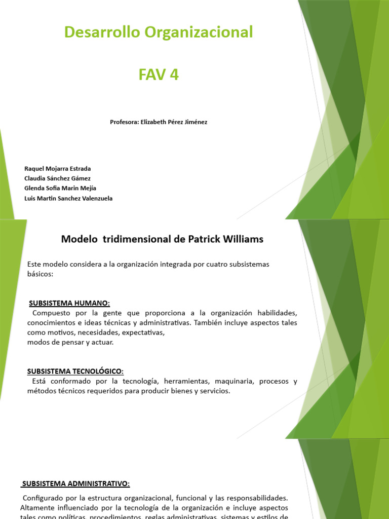 Modelo Tridimensional de Patrick Williams. | PDF