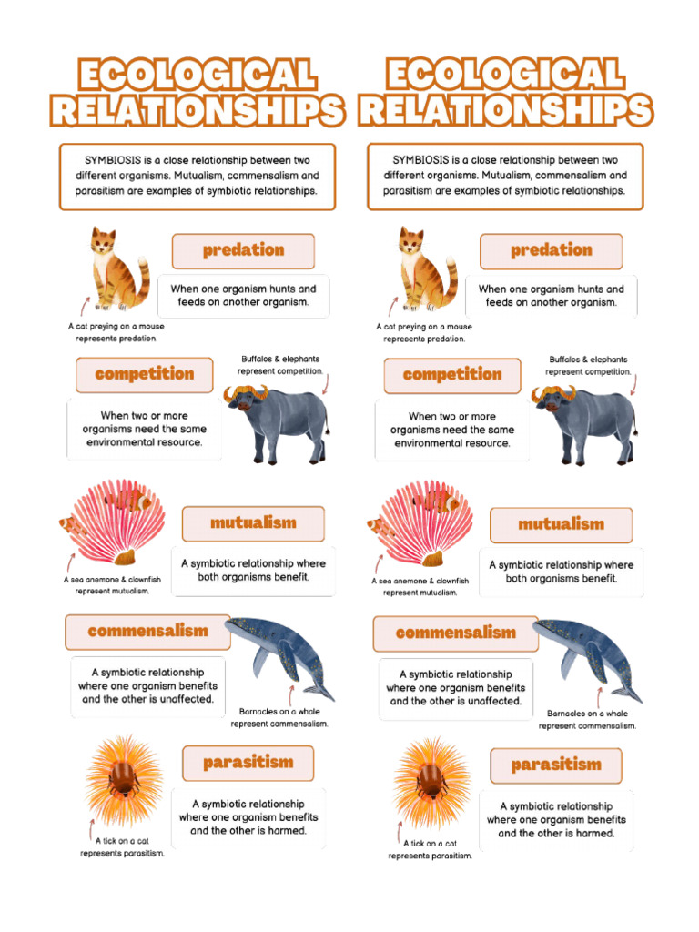 Ecological Relationships | PDF