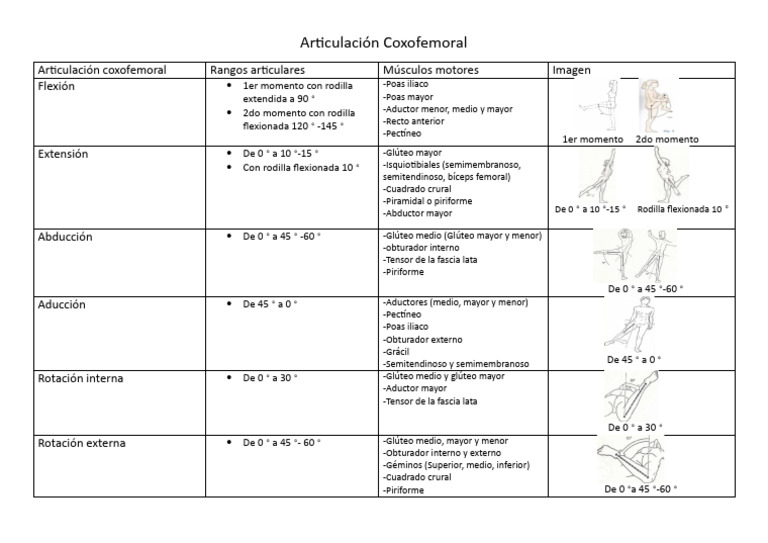 Cuadro Articulación Coxofemoral (2) | PDF