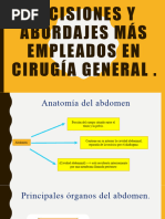 Revisión Coledocolitiasis Guías ASGE 2019 | PDF | Sistema digestivo ...