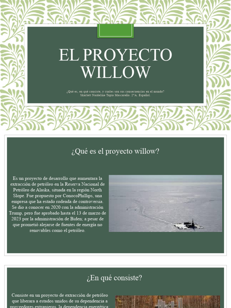 El Proyecto Willow - Skarlett Tapia | PDF | Petróleo | Entorno natural