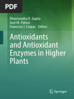 Term 3 Life Science Remote Learning Booklet | PDF | Leaf | Mitosis