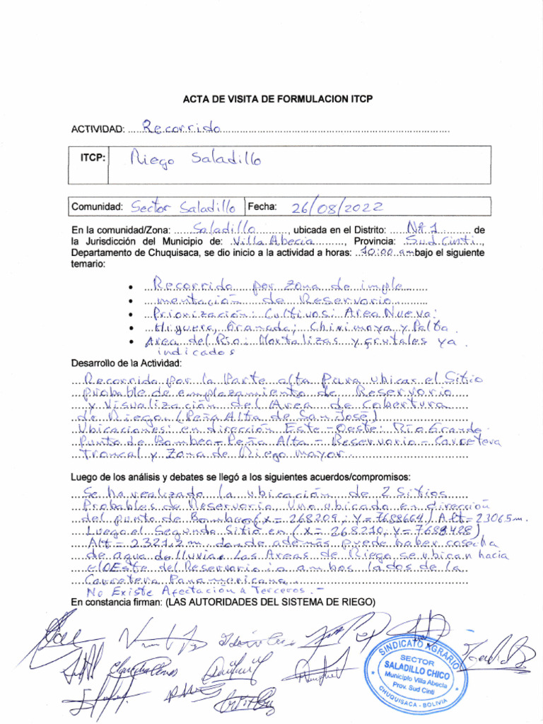 Acta de Visita de Formulación ITCP | PDF