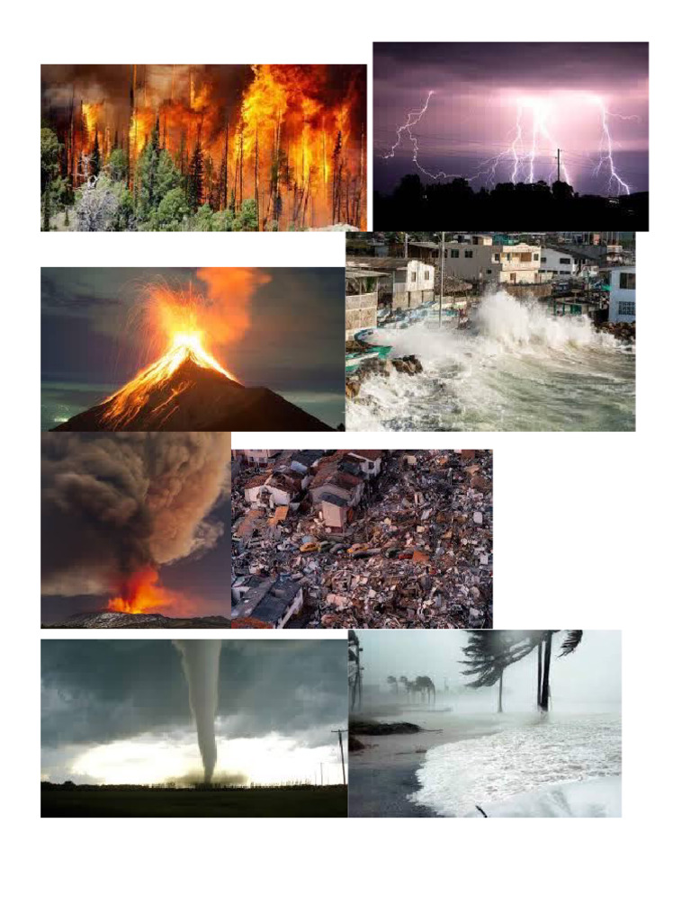 Collage Desastres Naturales | PDF