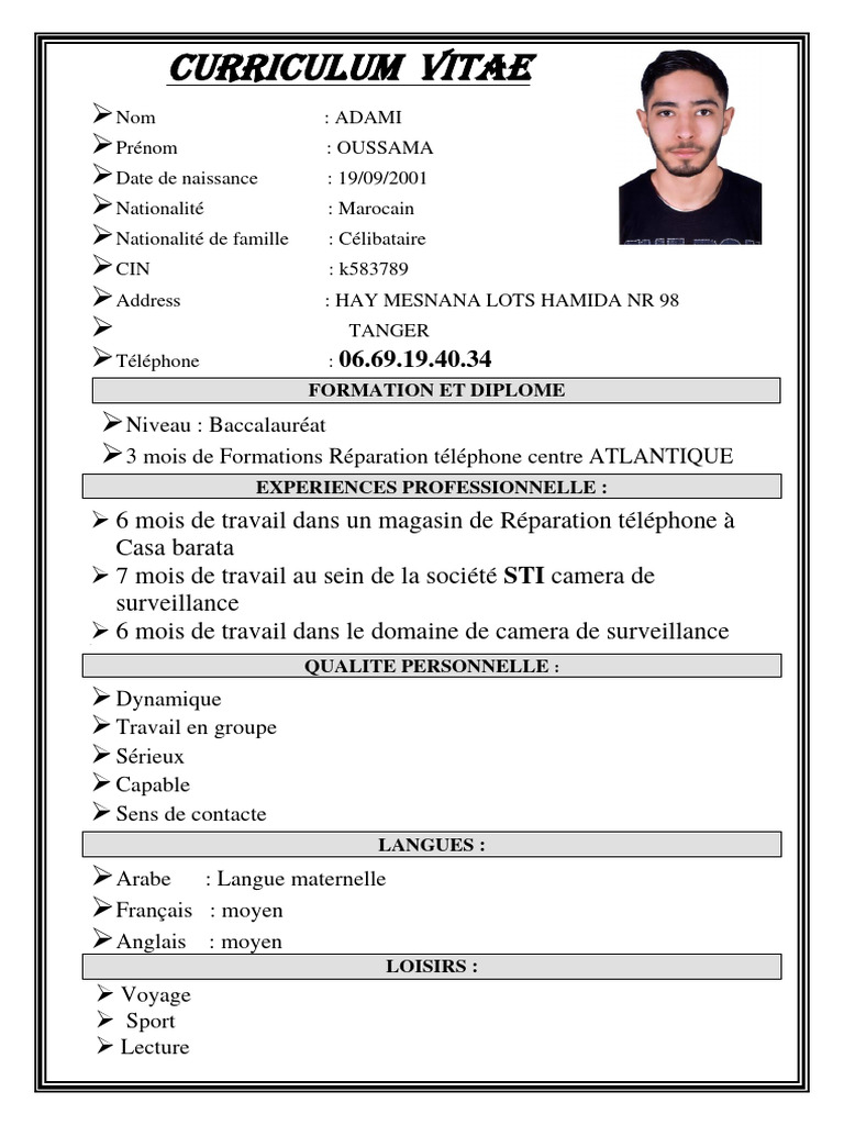 ADAMI Oussama CV | PDF