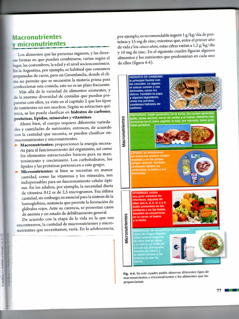 Macronutrientes y Micronutrientes | PDF