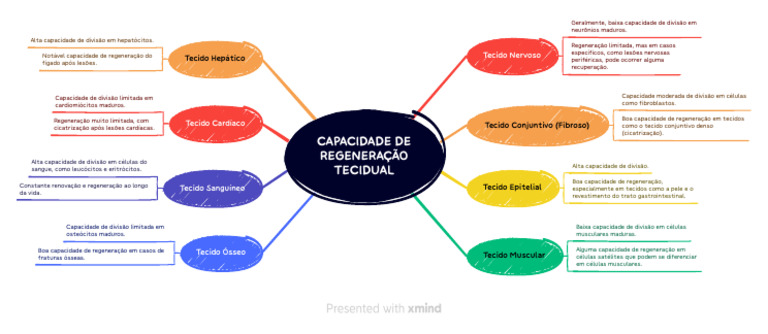 Capacidade de Regeneração Tecidual | PDF | Regeneração (Biologia ...