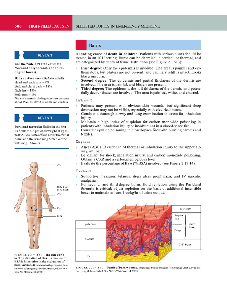 Rapid Review 2 AZ | PDF