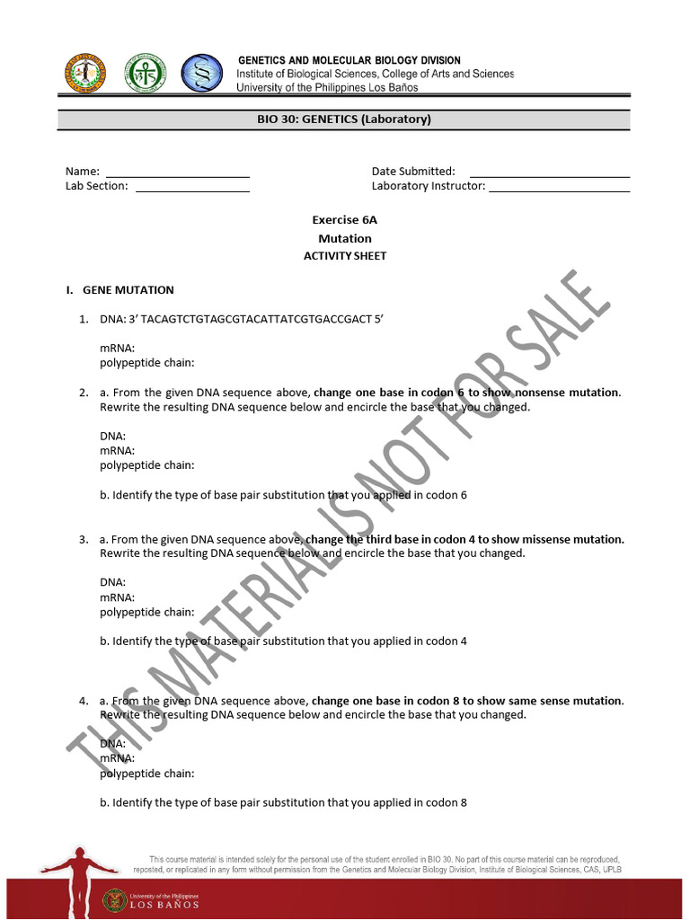 Exercise 7A Worksheet | PDF