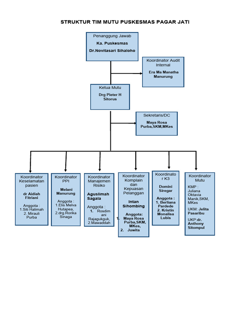 Struktur Tim Mutu Dan PPi - 1 | PDF