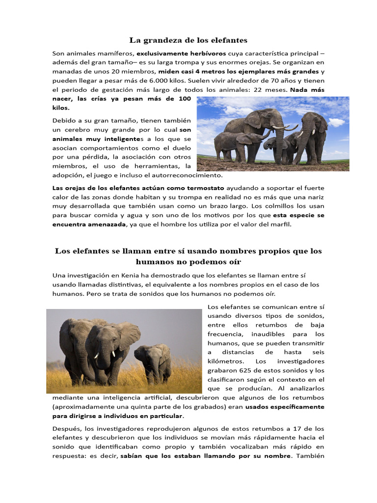 La Grandeza de Los Elefantes | PDF | Ciencias sociales | Artes del ...