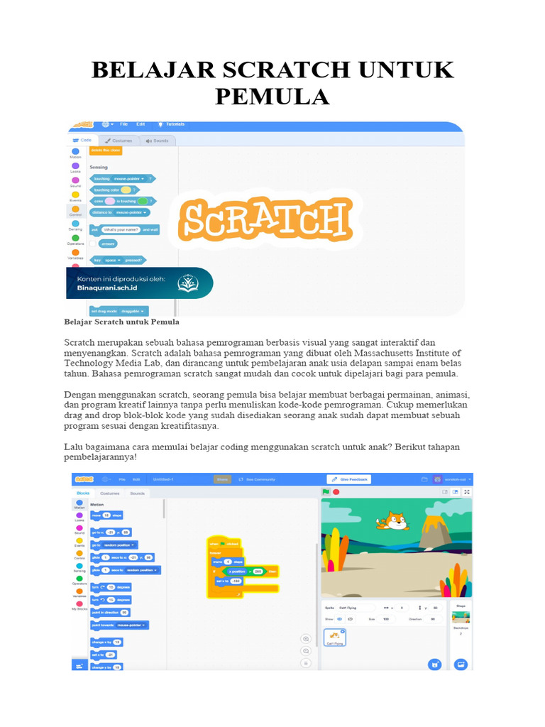 Panduan Belajar Scratch untuk Pemula | PDF