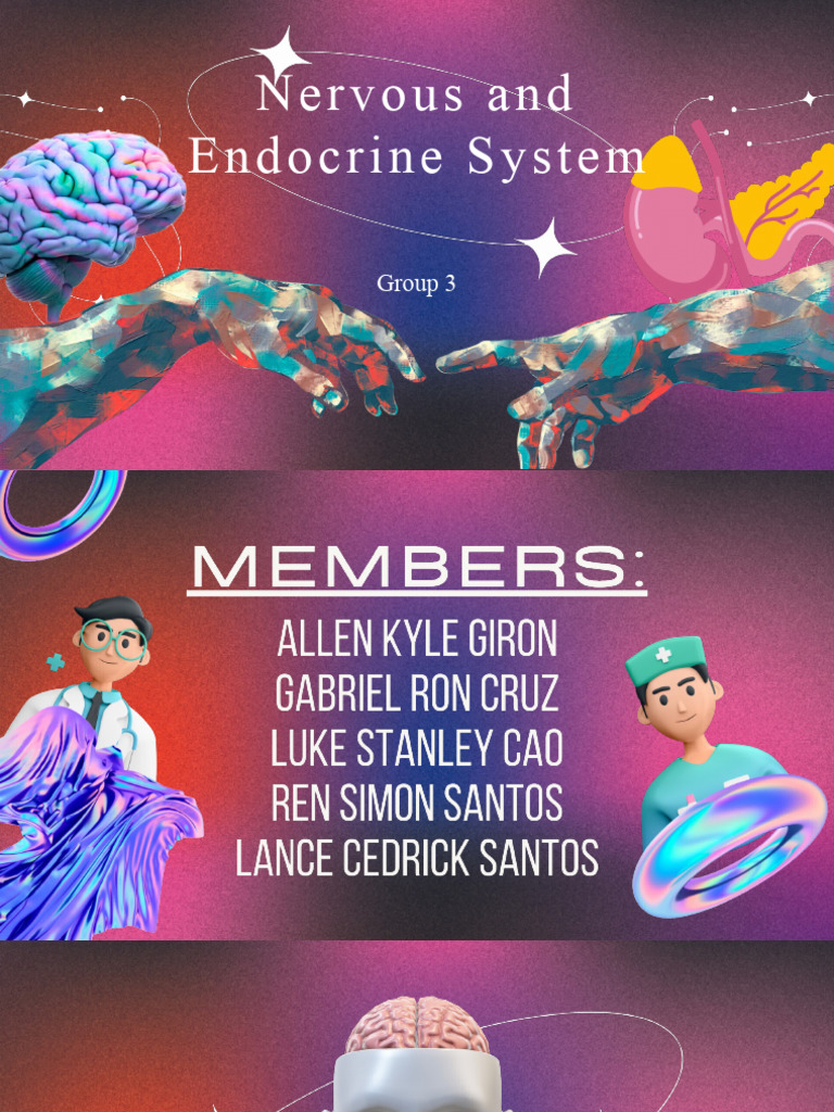 PW-Nervous and Endocrine System | PDF | Neuron | Central Nervous System