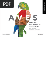 Compilado Ece 2do Grado Lectura 2022 | PDF | Patata | Depredación