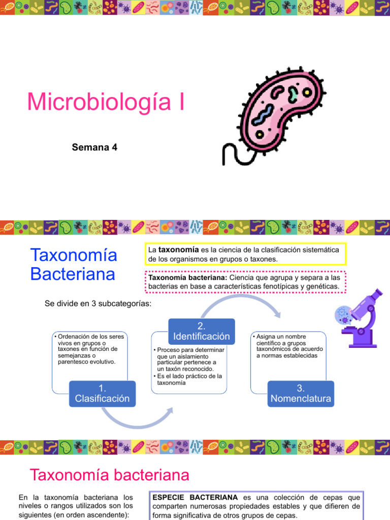 Semana 4. Micro I | PDF | Taxonomía (biología) | Las bacterias