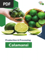 Calamansi: A Filipino Backyard Staple | PDF | Edible Fruits | Edible Plants