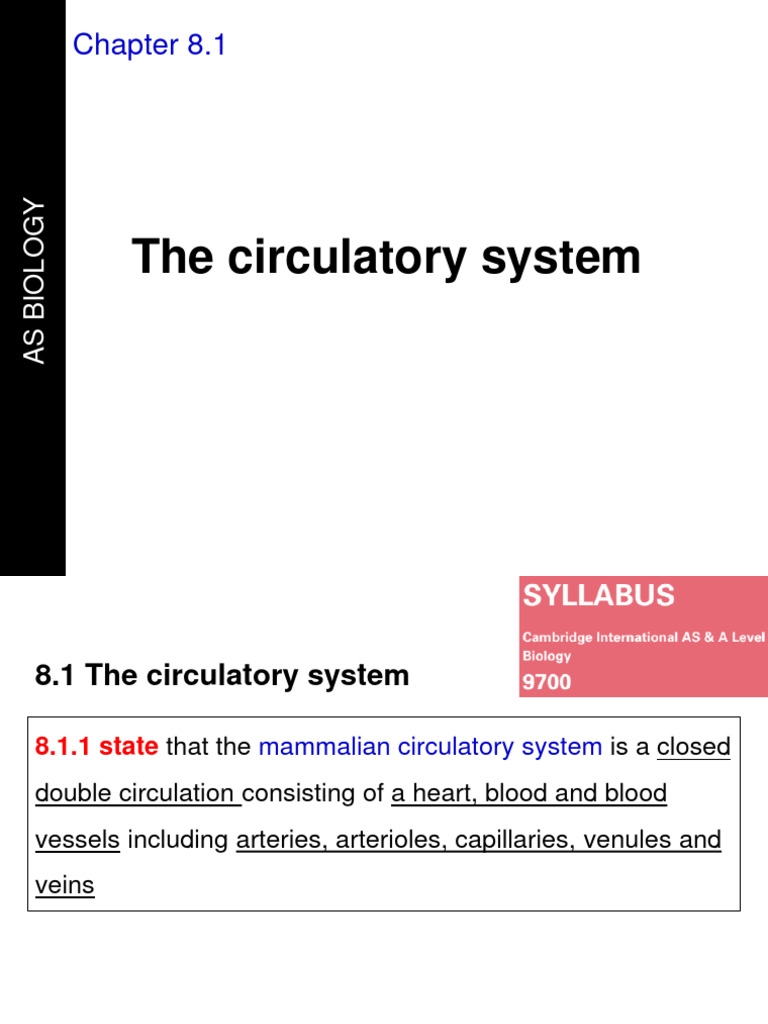 8.1 The Circulatory System | PDF | Heart Valve | Atrium (Heart)