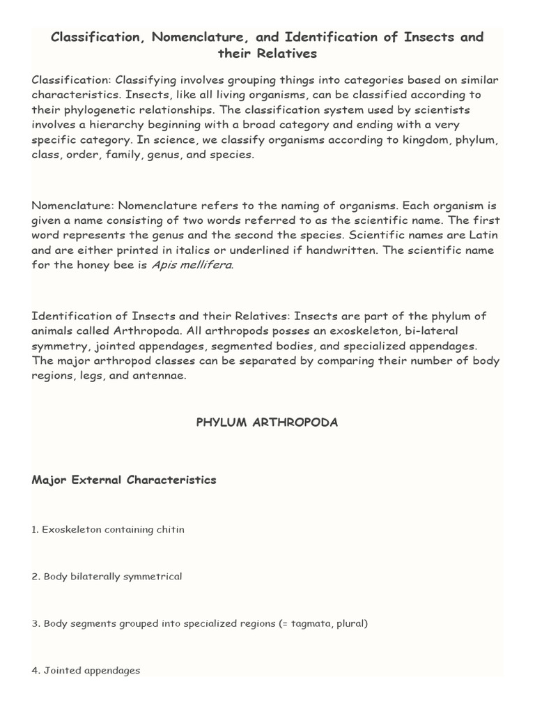 Classification of Insect | PDF | Crustacean | Spider