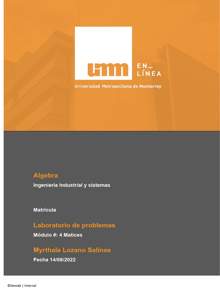 M4 Laboratorio Matrices | PDF | Análisis matemático | Conceptos matemáticos