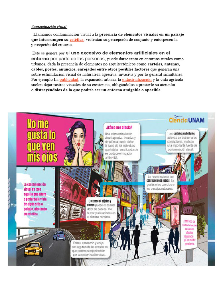 Contaminacion Visual | PDF