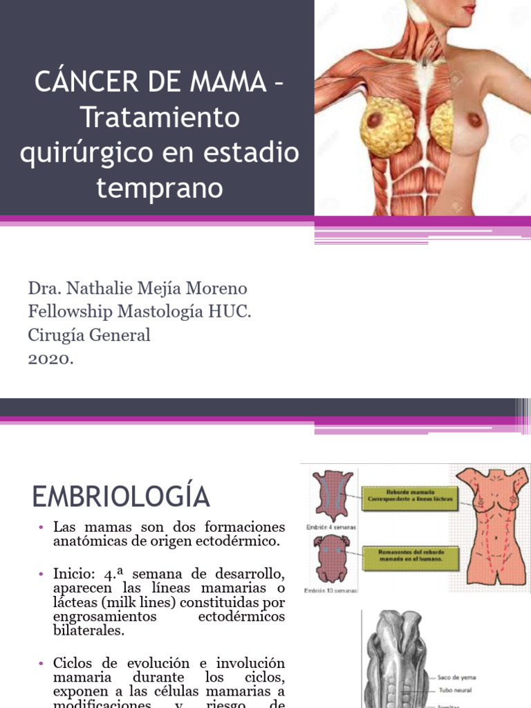 Tratamiento Quirúrgico Cáncer Mama | PDF | Pecho | Mamografía