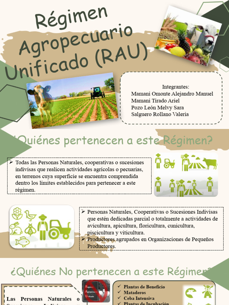 Disertación RAU | PDF | Bancos | Impuestos