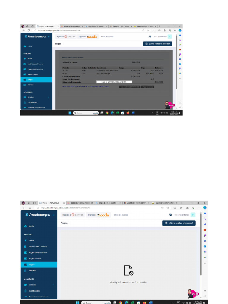 Pantallazos Pagos | PDF