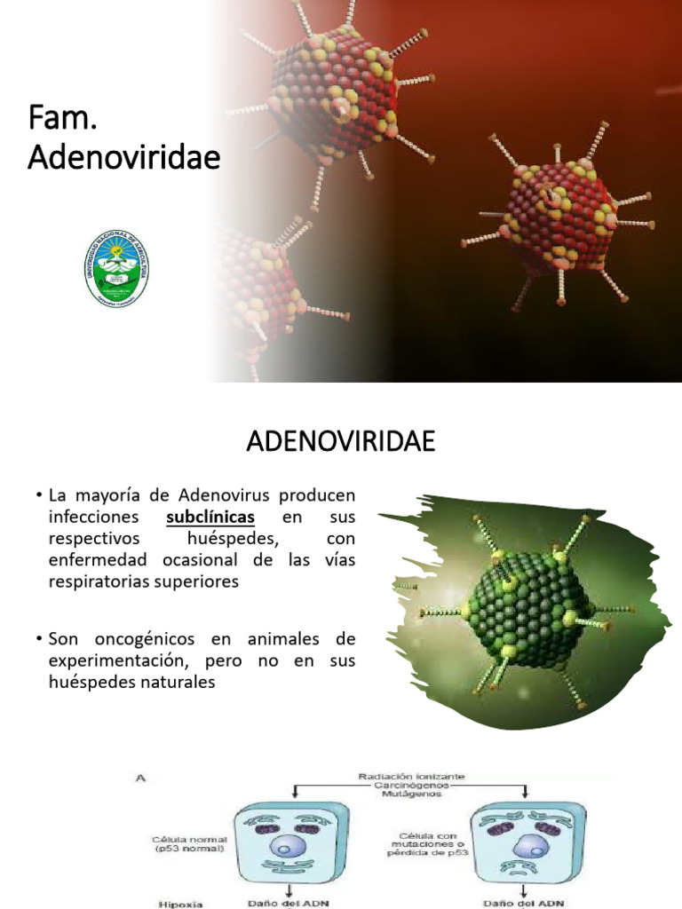 Fam Adenoviridae | PDF | Adenoviridae | Medicina