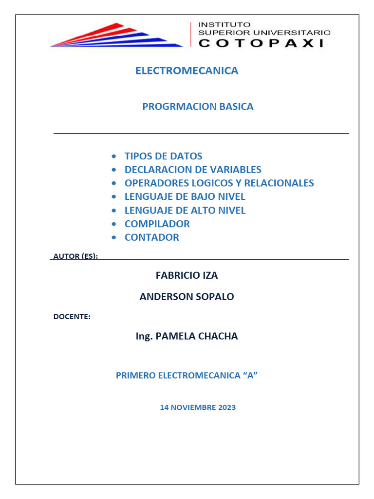 Programacion | PDF | Tipo de datos | Lenguaje de programación