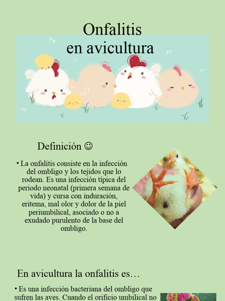 Onfalitis | Descargar gratis PDF | Medicina | Enfermedades y trastornos