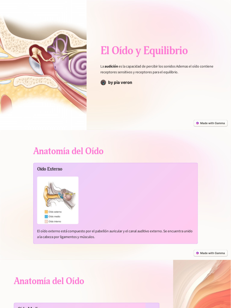El Oido y Equilibrio | PDF | Oído | Escuchando