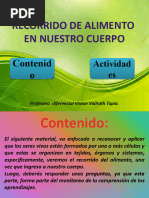 Digestión: Bolo, Quimo y Quilo | PDF | Digestión | Tracto gastrointestinal