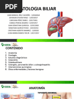 Anatomía del triángulo de Calot y Buddé | PDF | Vesícula biliar | Hígado
